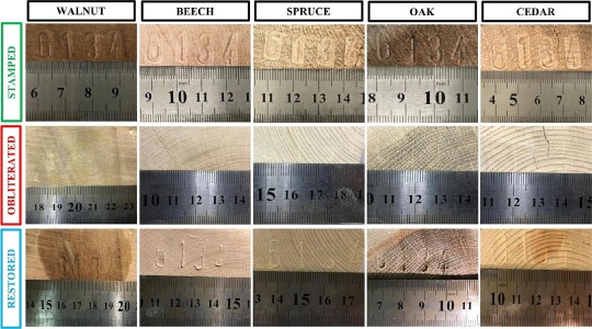 The effects of four different solvent vapours on the restoration of ...